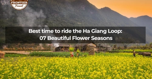 Best Time To Ride The Ha Giang Loop: 7 Beautiful Flower Seasons ...