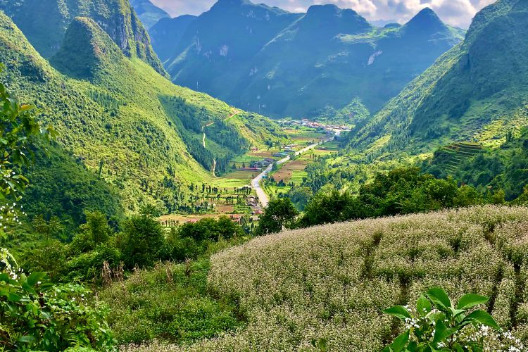 Spring Activities Of Vietnamese - Vietnam Motorcycle Tour | blogs ...