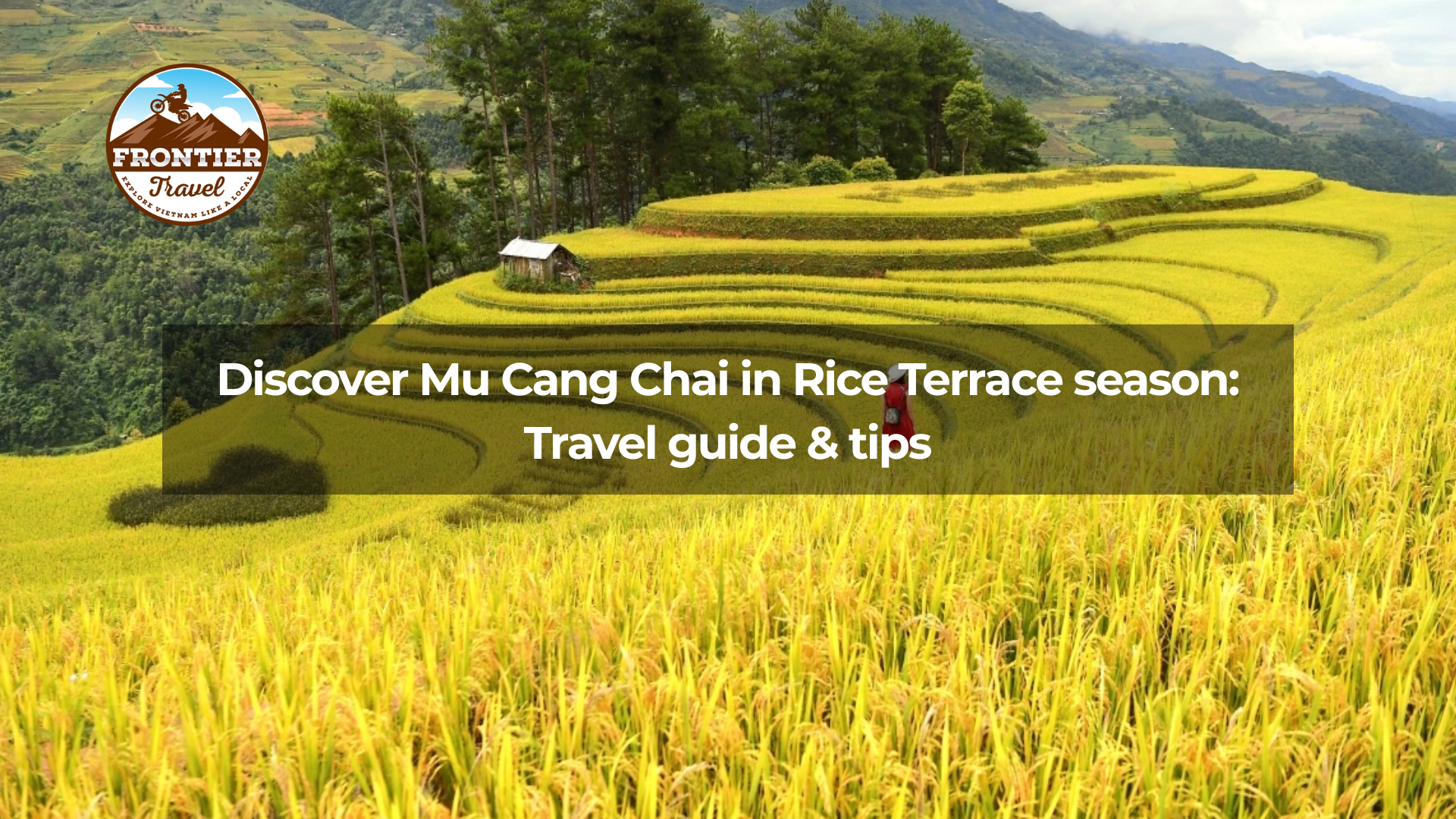 Discover Mu Cang Chai In Rice Terrace Season: Travel Guide & Tips ...