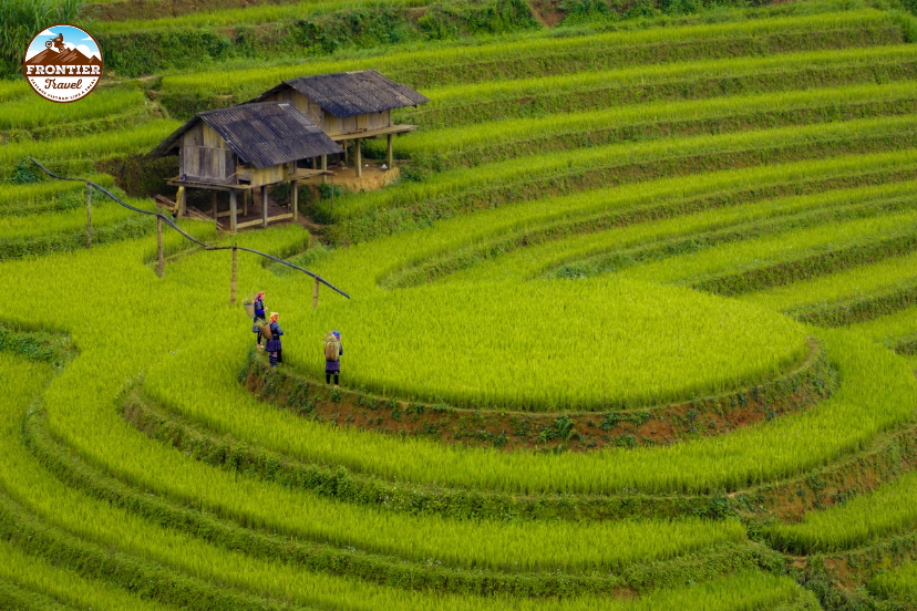 A Journey Through Five Breathtaking Rice Fields In Viet Nam